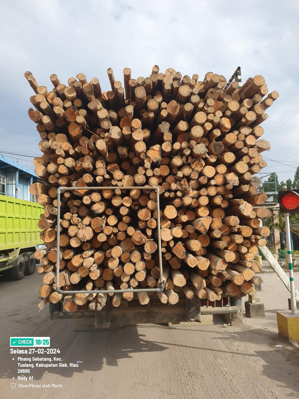 automal Object Detection Dataset and Pre-Trained Model by object detection