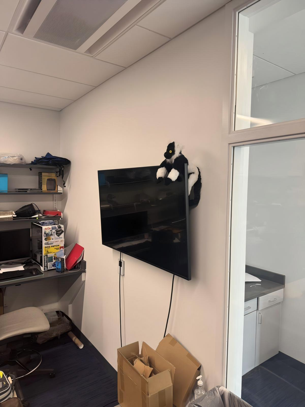 ieee vr obstruction dataset Object Detection Dataset by Test