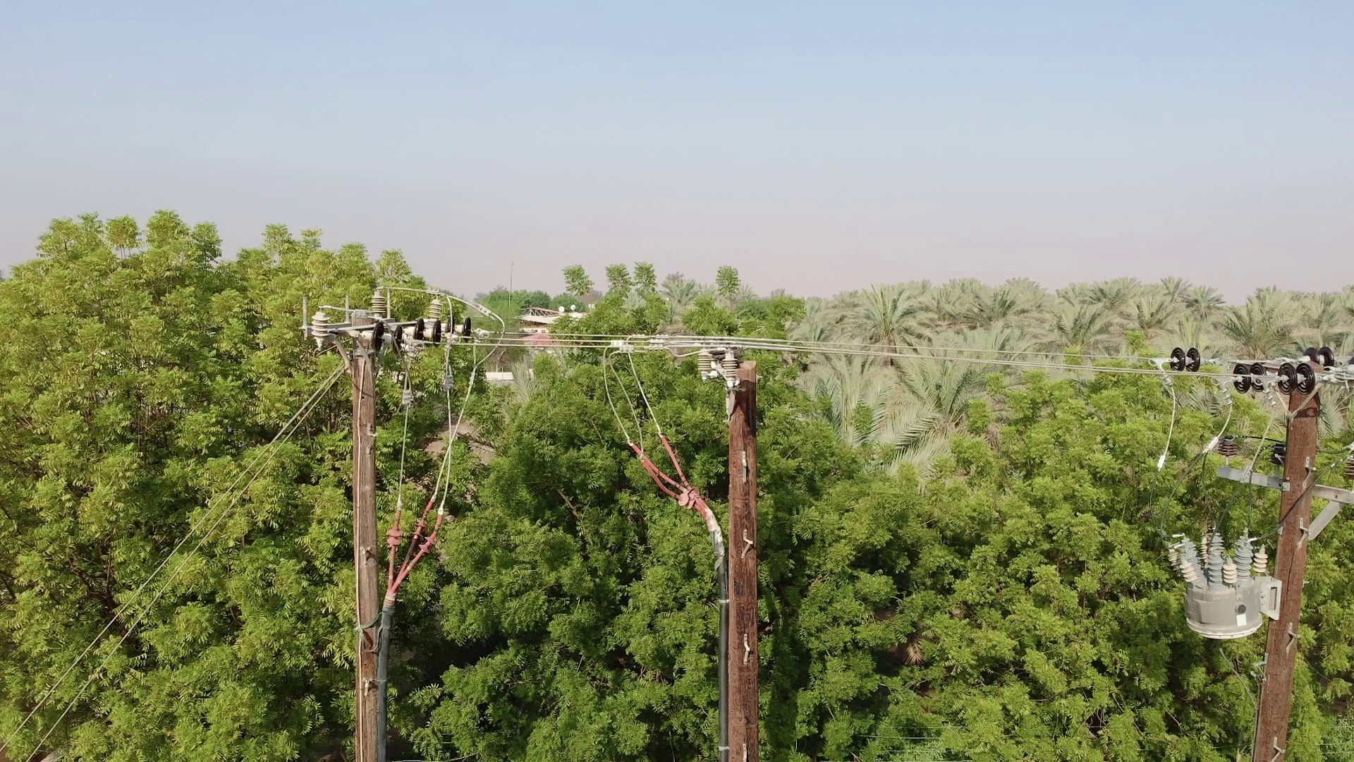 new_pro Instance Segmentation Dataset by work