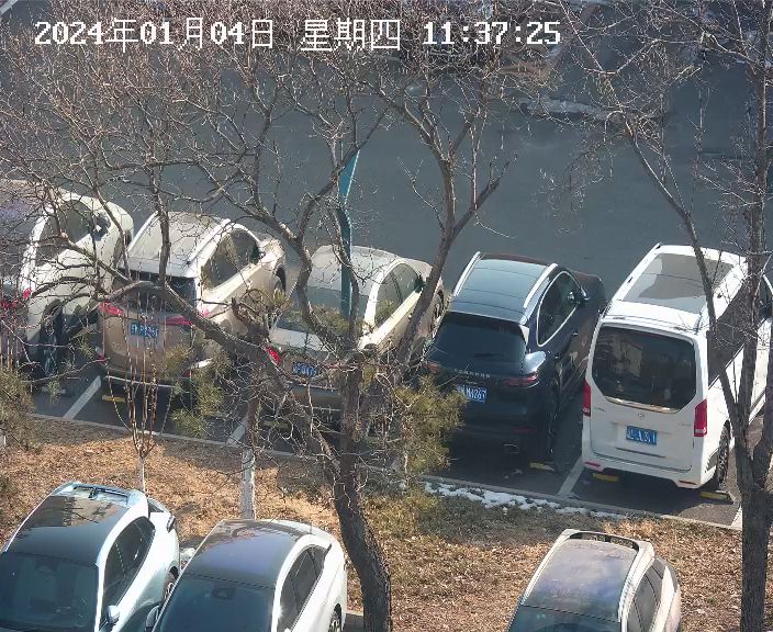 BDD100k Object Detection Dataset by shixi