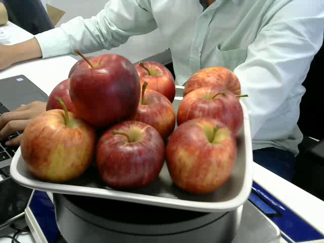 fruit_training_data1 Instance Segmentation Dataset by MSC PROJECT