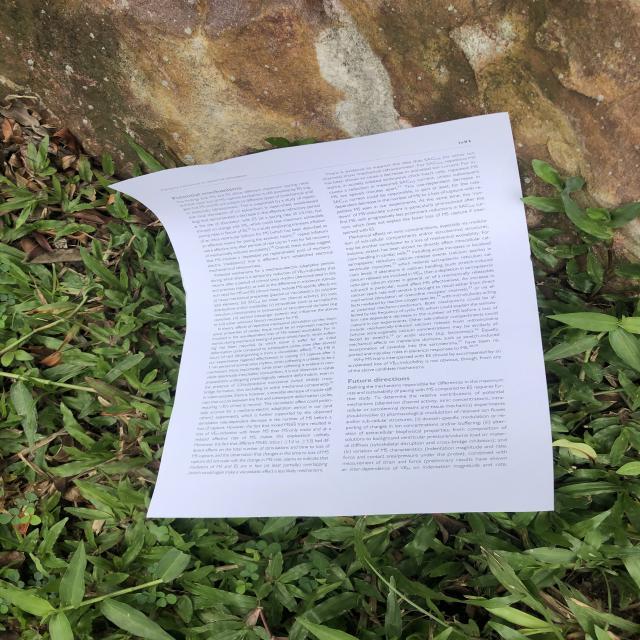 Doc Instance Segmentation Dataset by Electrical Component Detection