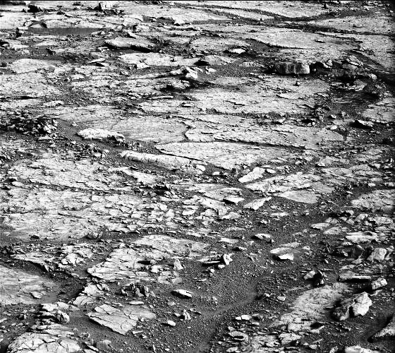 SLS_Dataset Instance Segmentation Dataset and Pre-Trained Model by Tazwars Workspace