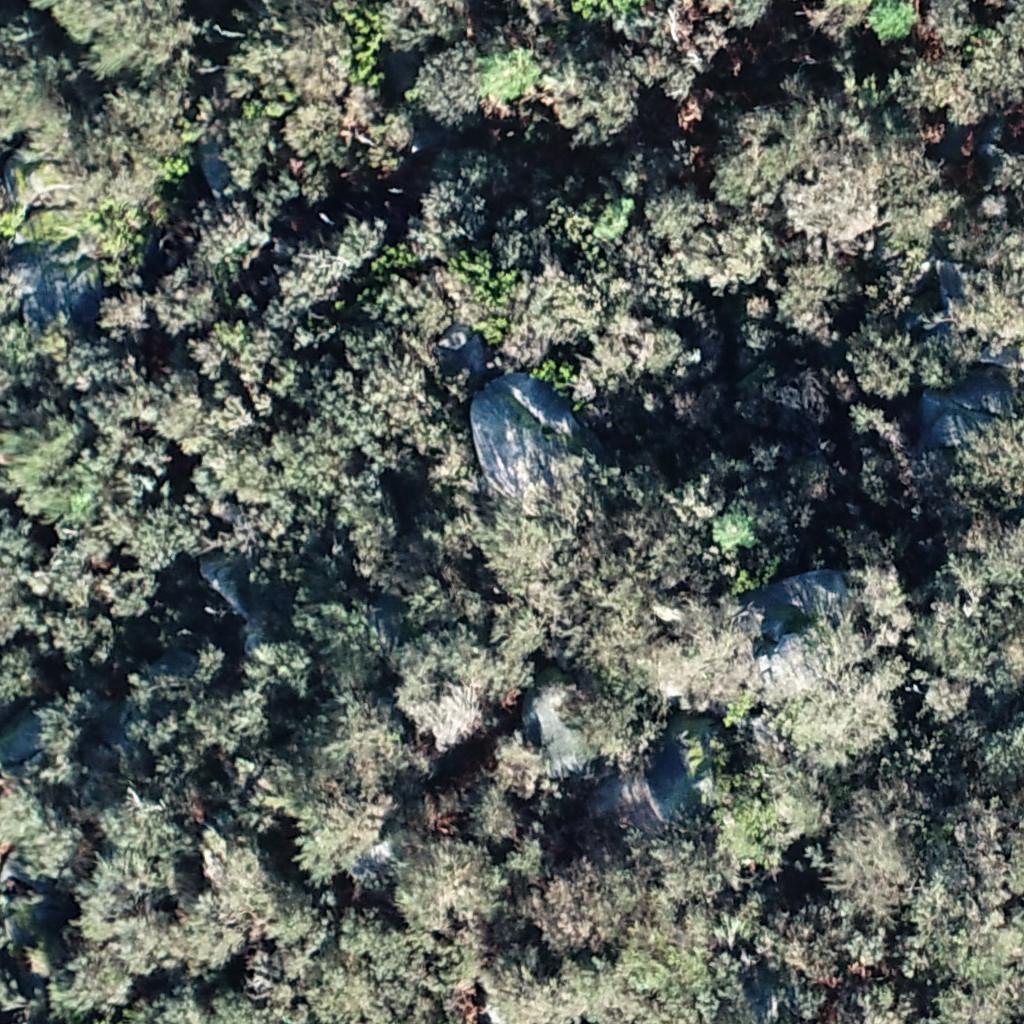 rocks Semantic Segmentation Dataset by Drone semantic segmentation