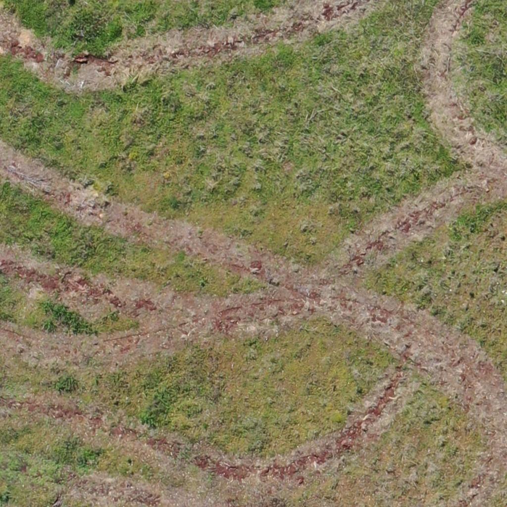 seedling_lines Semantic Segmentation Dataset by Drone semantic segmentation