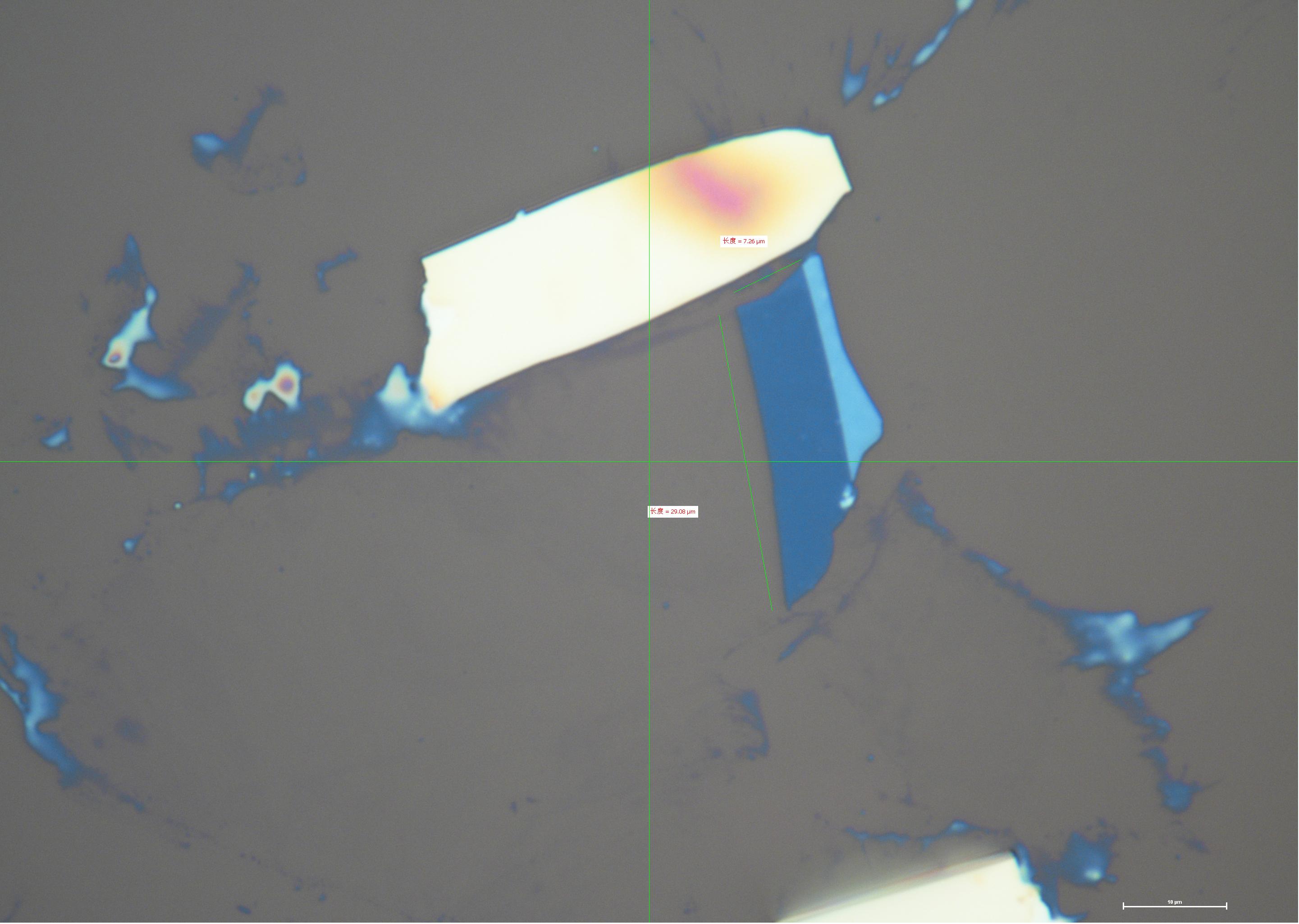 Flake detection Instance Segmentation Dataset and Pre-Trained Model by Quantum