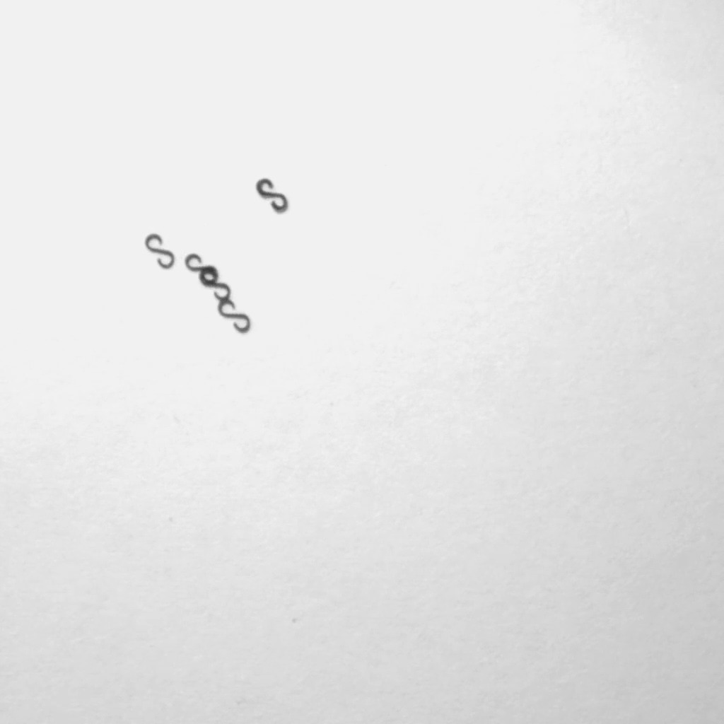 'hook shape tiny objects' Object Detection Dataset by Hakseng