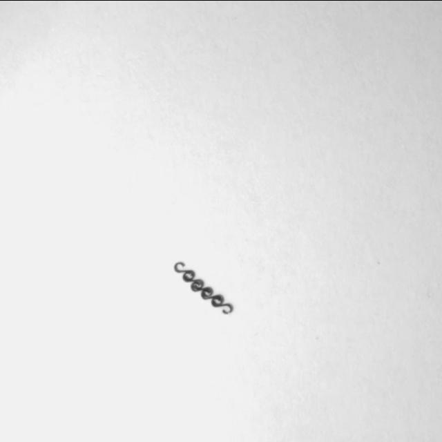 hook shaped Instance Segmentation Dataset by Hakseng