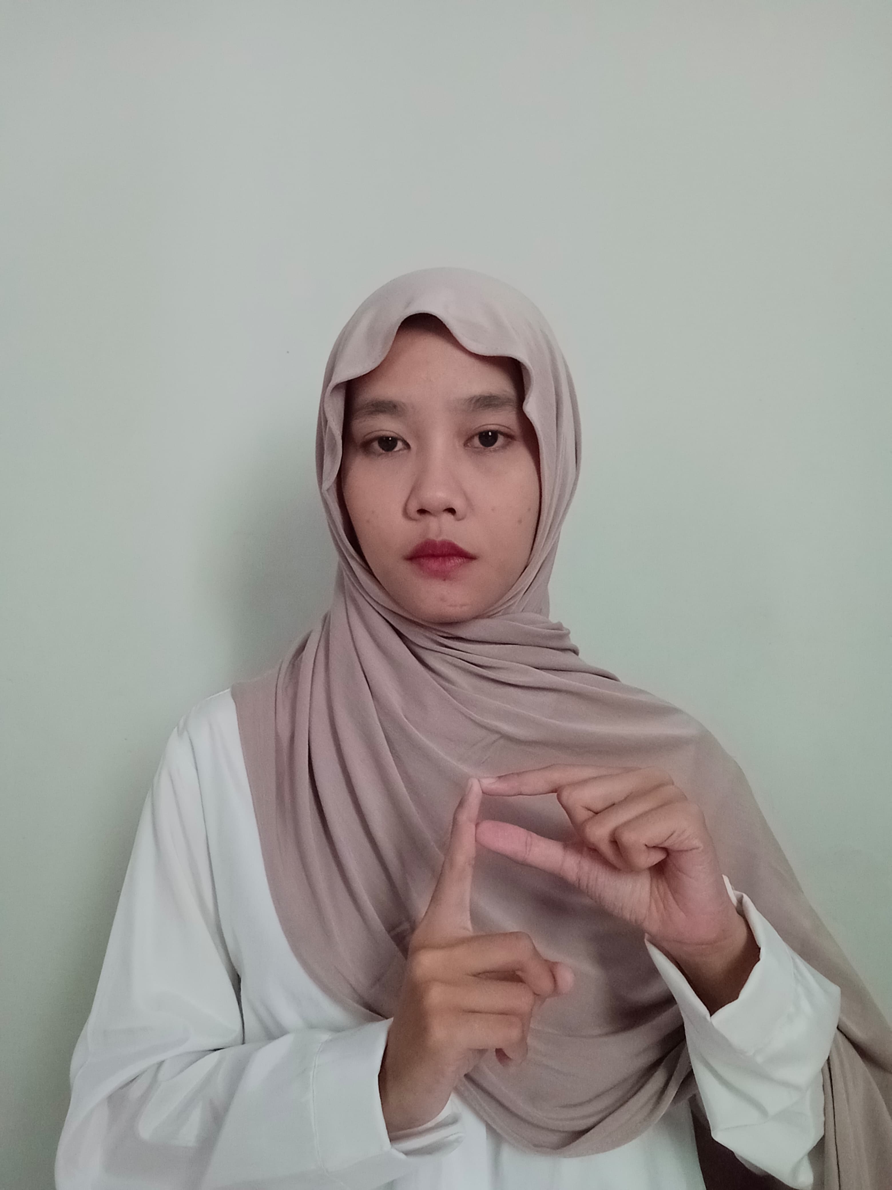 Dini Furnama (dini-furnama-reywv) - Roboflow Universe