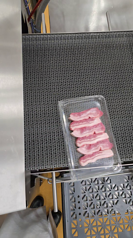 meat Object Detection Model by fprojectmeat