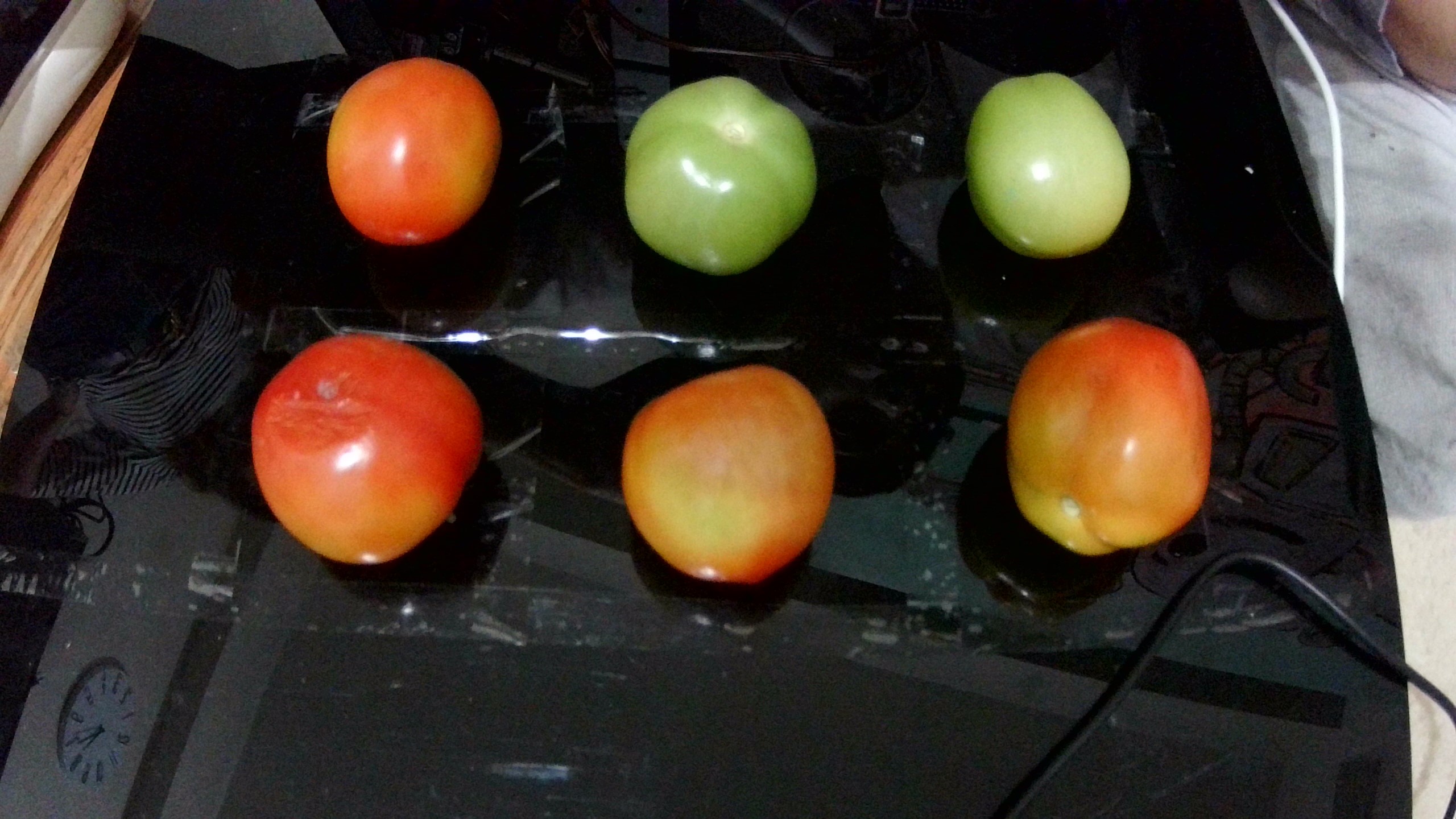 Kamatis Roboflow Universe