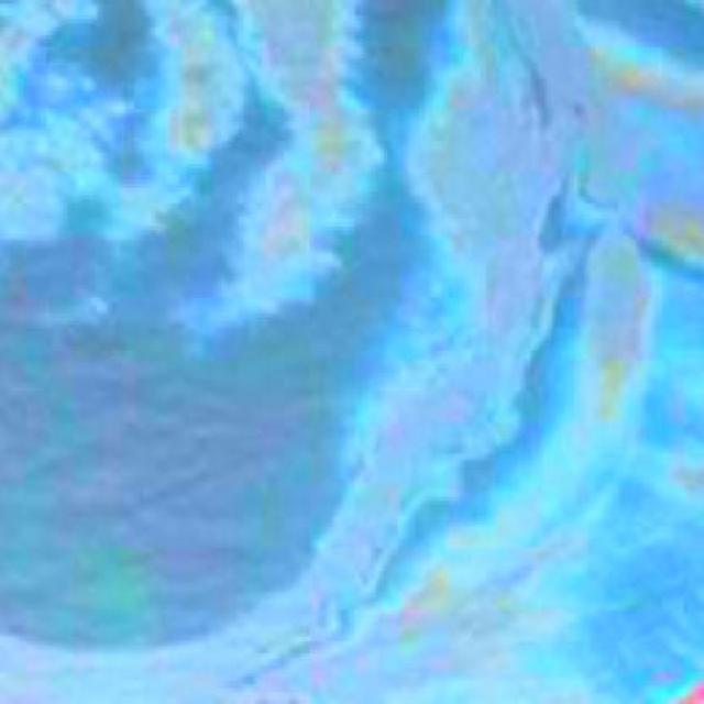 Dataset Instance Segmentation Dataset By Oil Pollution