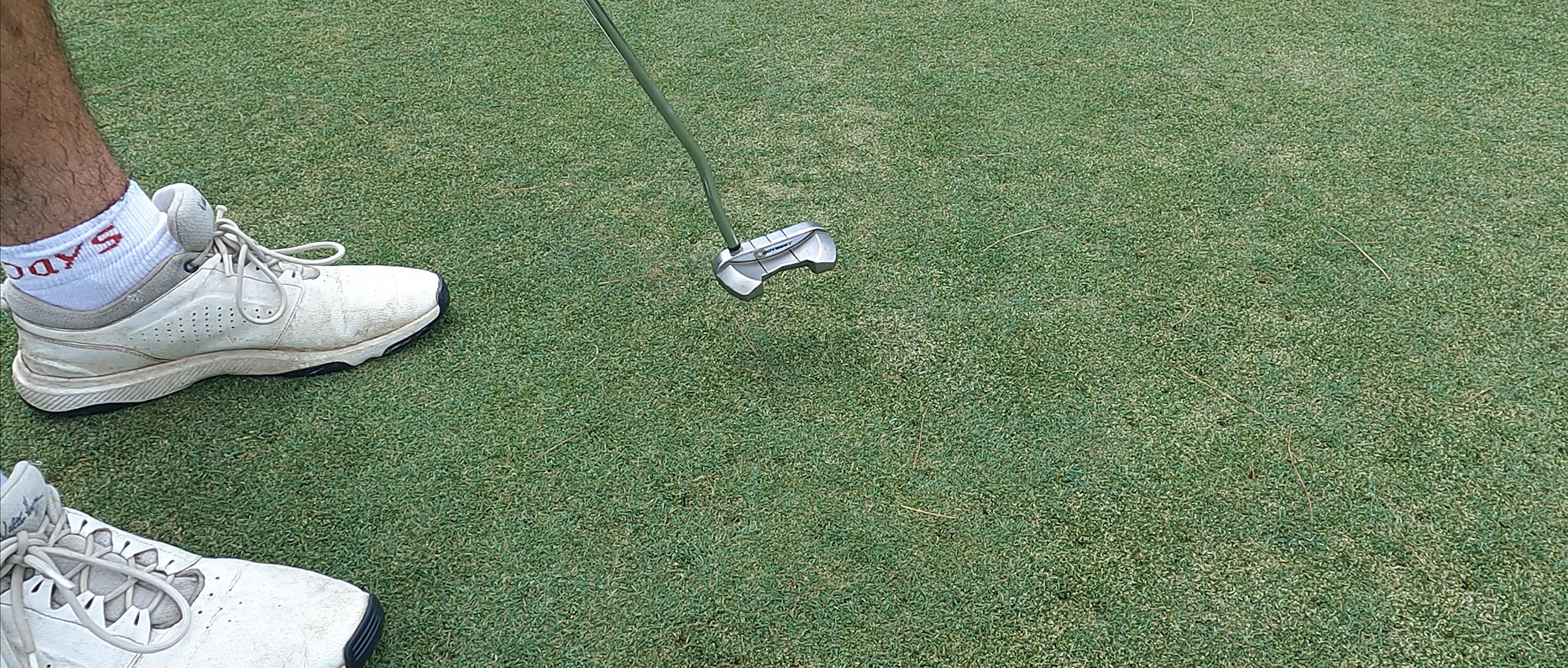 Golf Ball and Hole Detection Object Detection Model by bosharluke