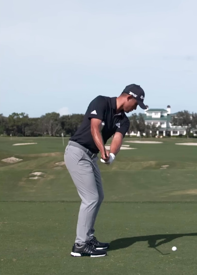 Golf-Swing-Analyzer-DTL Instance Segmentation Dataset by bosharluke