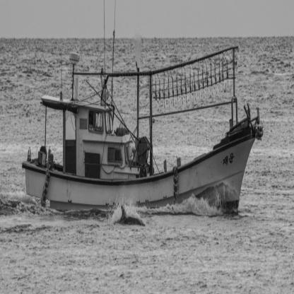 Ship by Ship Object Detection Model by Chandra Parashian Napitupulu