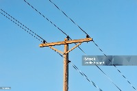Utility Pole Classification Dataset by Poles