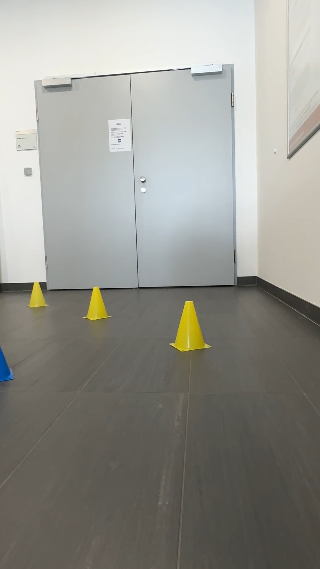 Cone Detection Object Detection Dataset And Pre Trained Model By Cone