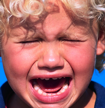 helen cropped image 200 Object Detection Dataset by Najwa