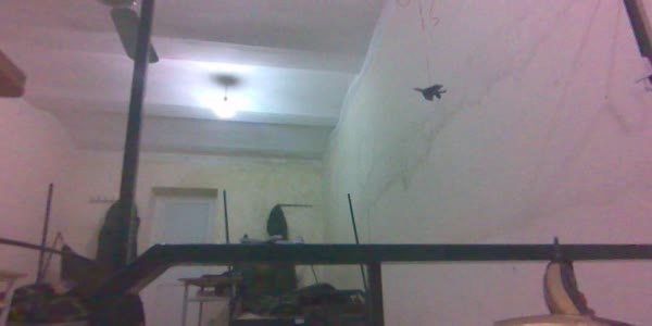 fly---- Object Detection Dataset by new-workspace-itfak