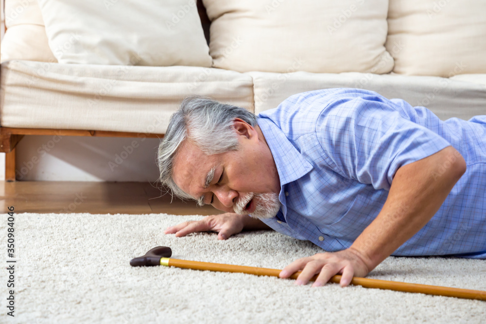 Major project Object Detection Dataset by Major Project