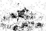 Top Cougar_body Datasets and Models | Roboflow Universe