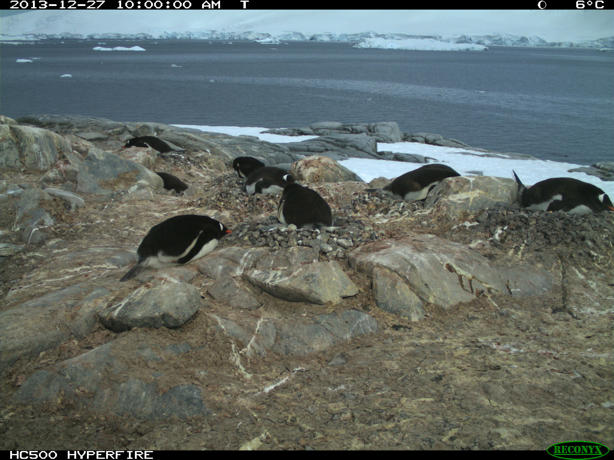 471-total-segmentation Instance Segmentation Dataset by ECE 471 Project