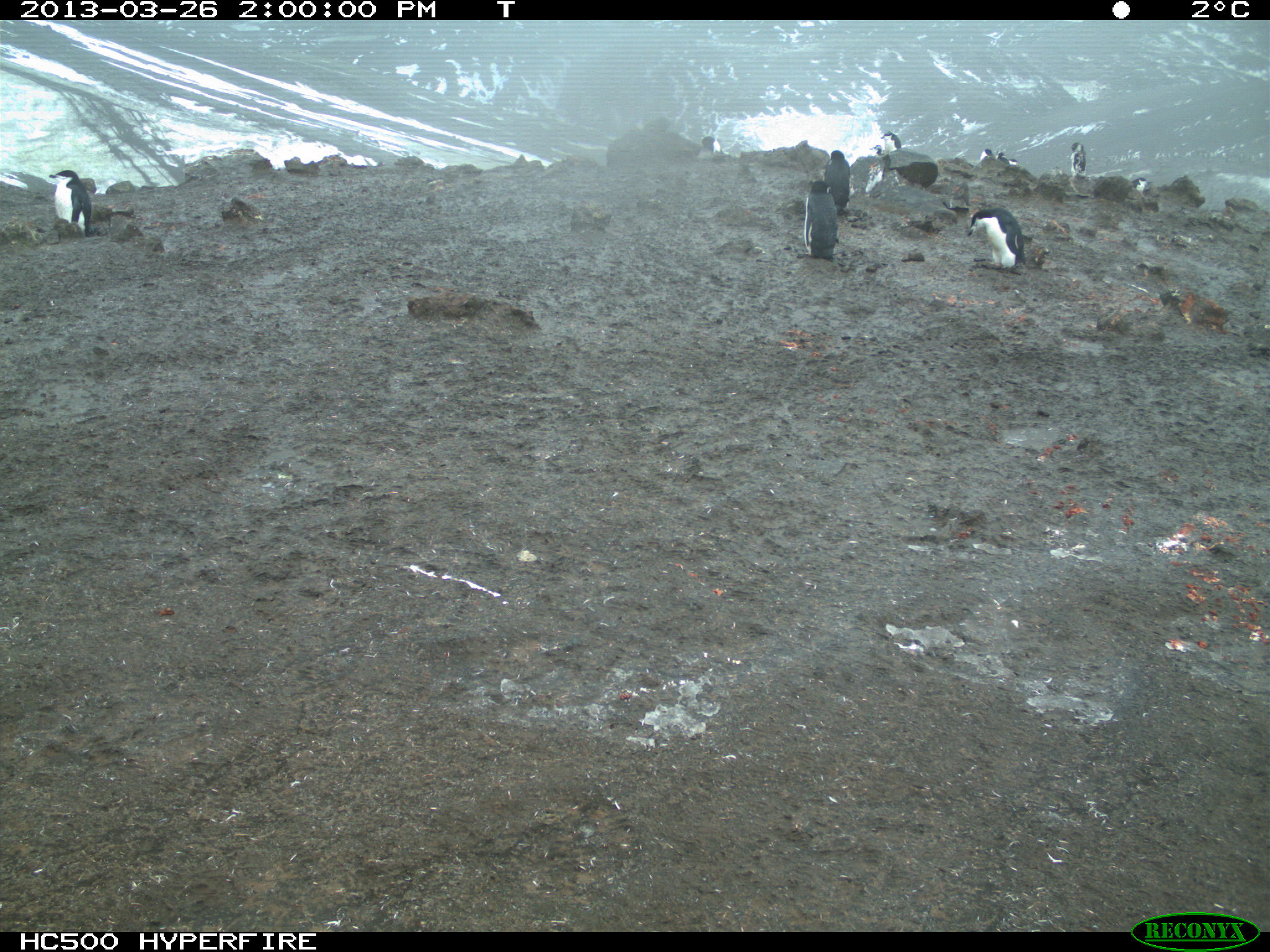 471-segmentation Instance Segmentation Model by ECE 471 Project