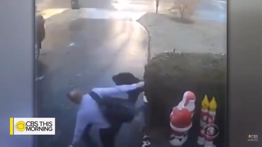 Violence Object Detection Model by PetraSoft