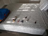 example (example-fwlol) - Roboflow Universe