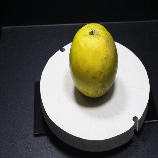 Fruit Object Detection Dataset And Pre Trained Model By Zaibormiki