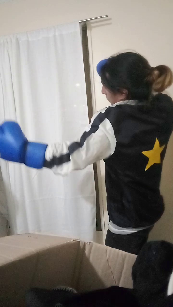 Box Keypoint Detection Model by Pilgrim