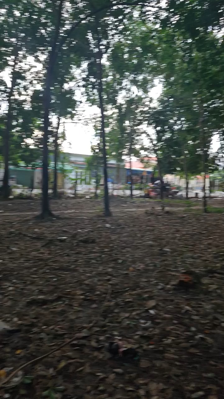 Tracking and couting Trees Object Detection Dataset and Pre-Trained Model by Tracking and ...