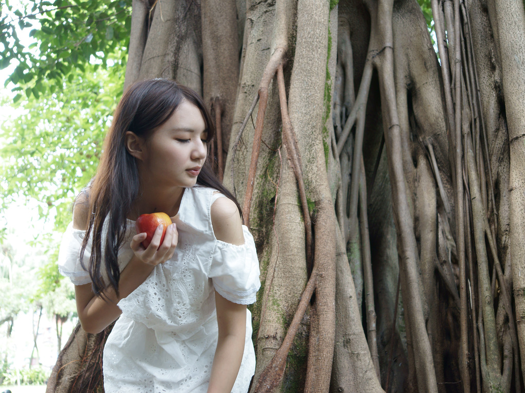 Vetegables Detection Object Detection Dataset By Ozan Miooullar