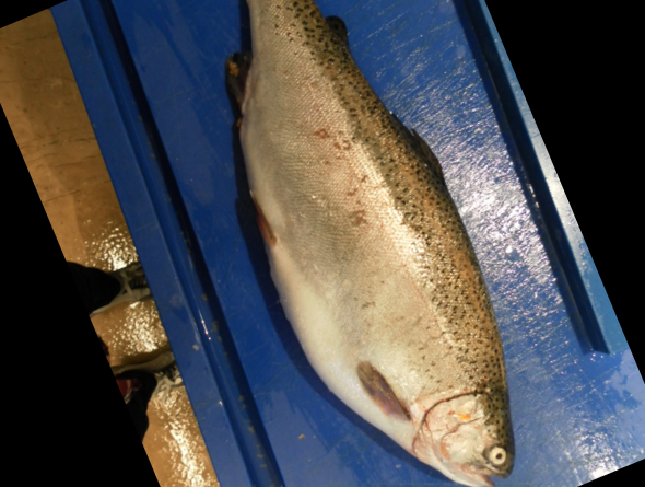 Fish_Garbage Object Detection Dataset by Vietnam national university