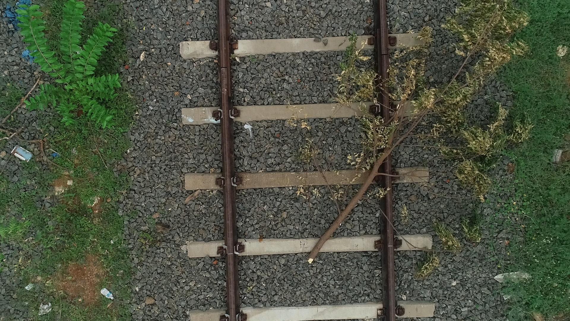 Dataset For Detection Object Detection Dataset By Sopproject