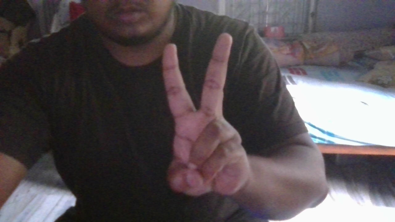 Hand Landmark Detection Object Detection Dataset by NIT RAIPUR