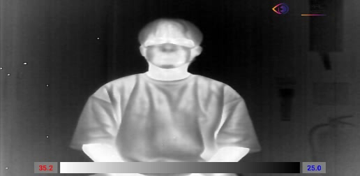 mask Object Detection Dataset and Pre-Trained Model by pig