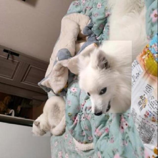 Biggg - Roboflow Universe