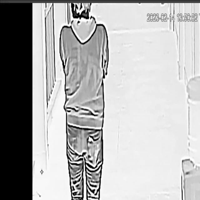 Shield AI Object Detection Dataset and Pre-Trained Model by Harmony