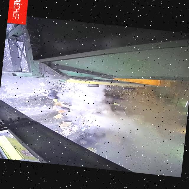 spark-detector Object Detection Model by Avian AG