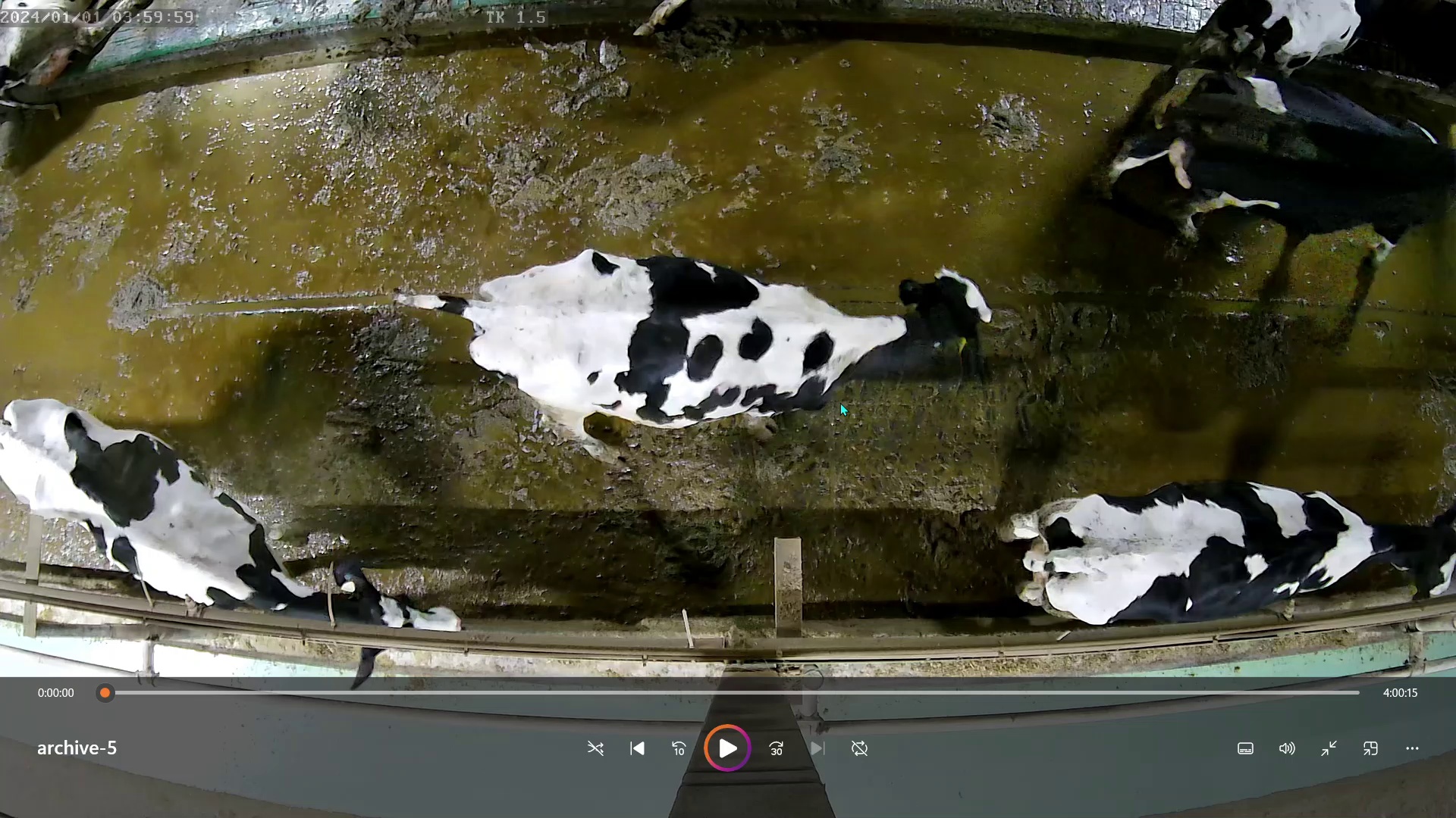 45 Keypoint Detection Model by draft