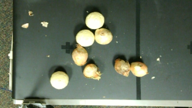 Onion Classification Object Detection Model by Lab