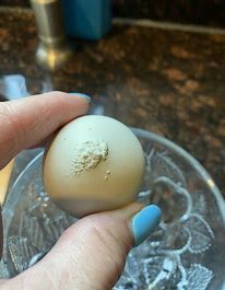 Egg Classification Object Detection Dataset and Pre-Trained Model by Sahil Rawat