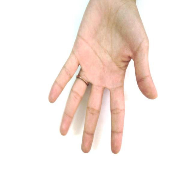 hand-keypoints-1 Keypoint Detection Dataset by Handkeypoints