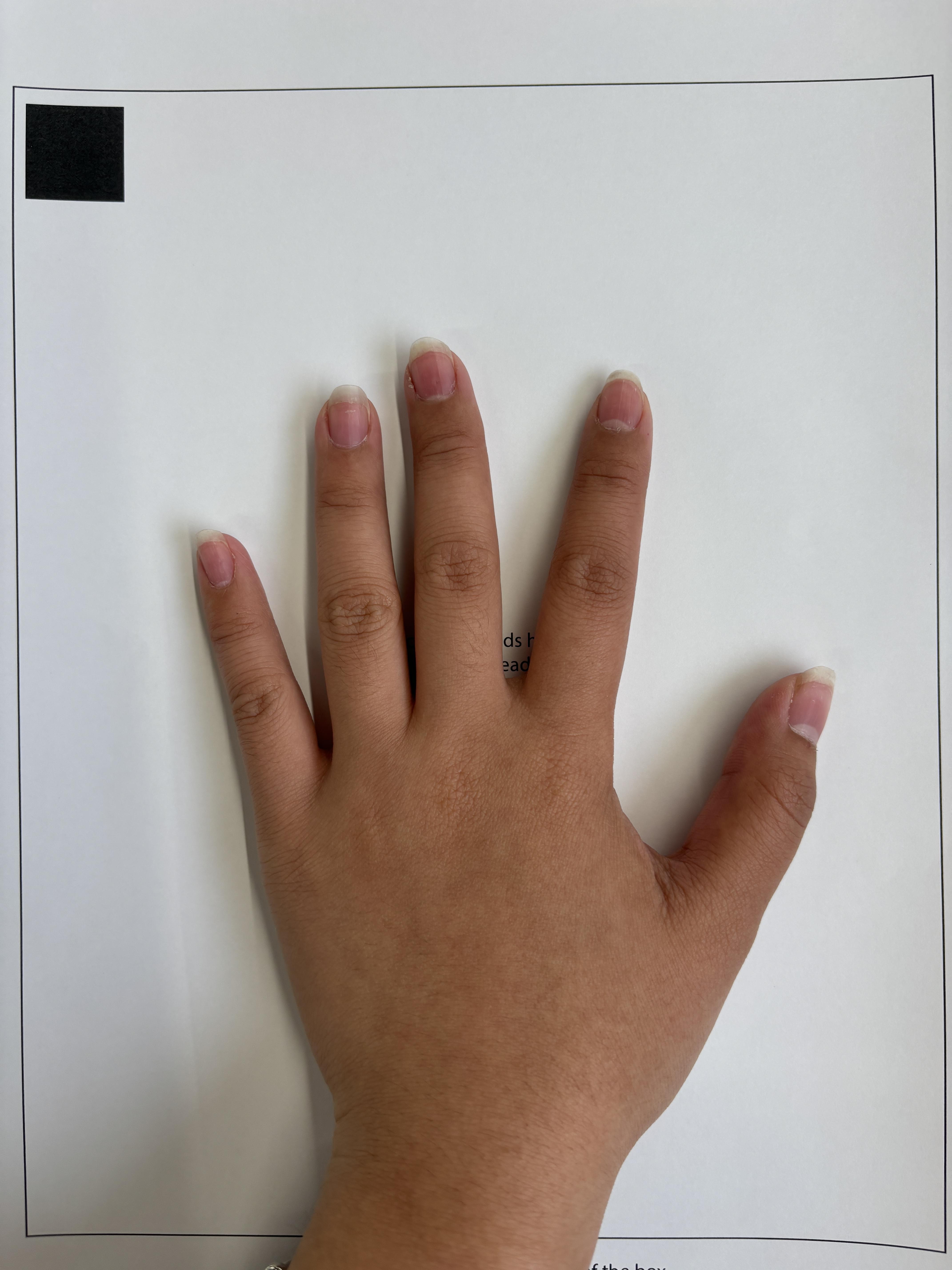Hands Instance Segmentation Model by NinaLai