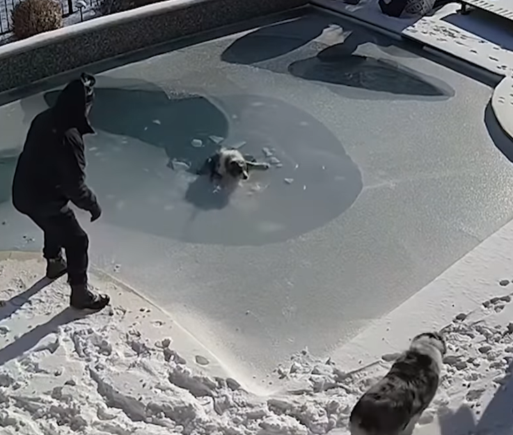 Persion OD Object Detection Dataset by tuntun