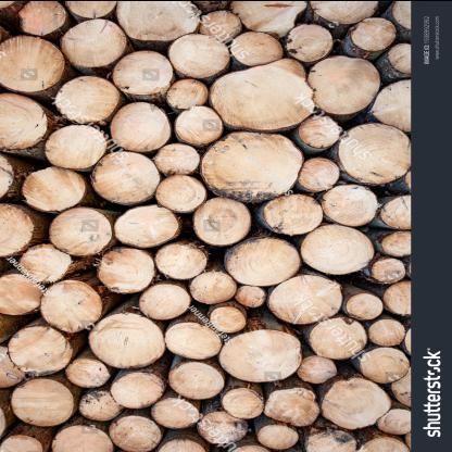 wood dataset Object Detection Dataset by hdrlabs