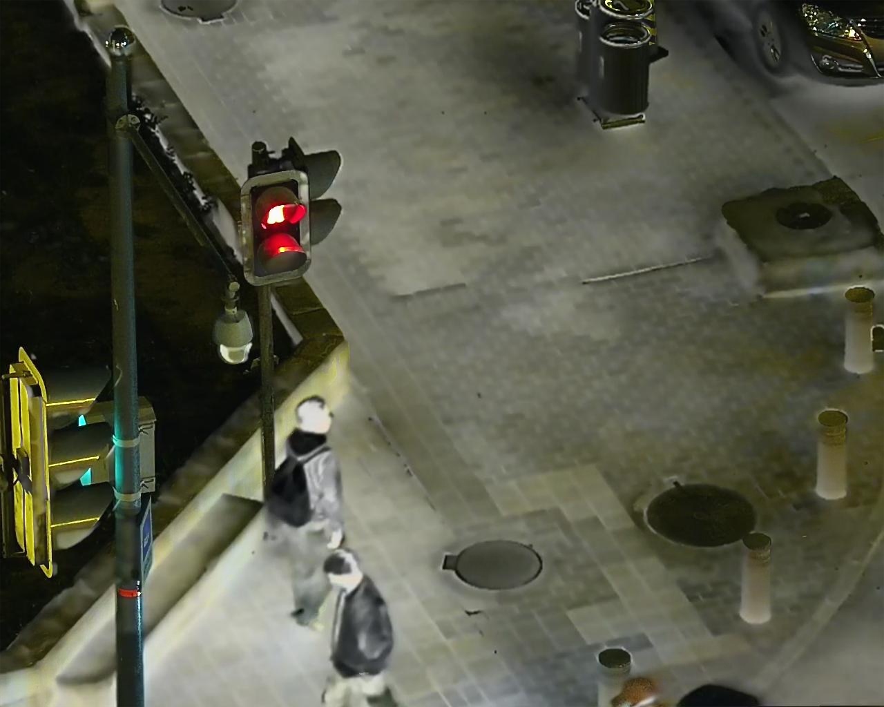 Llvip Object Detection Model V1 2024 09 24 12 57pm By Jijingdeyi