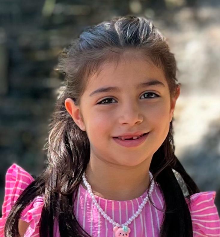 Image Classification Object Detection Model by shahd