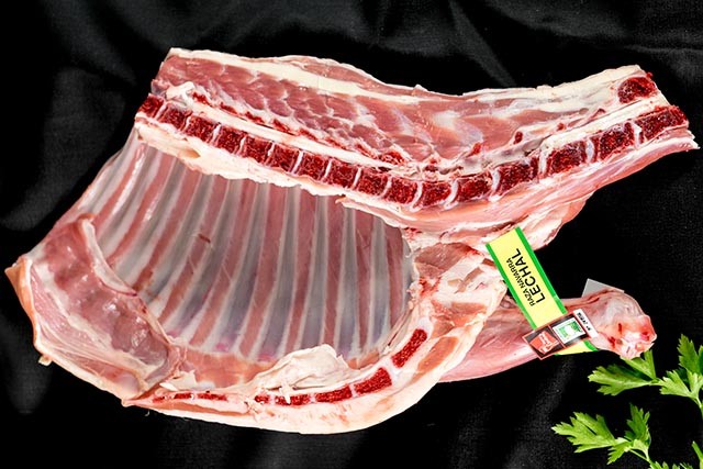 aaaa Instance Segmentation Dataset by adrida